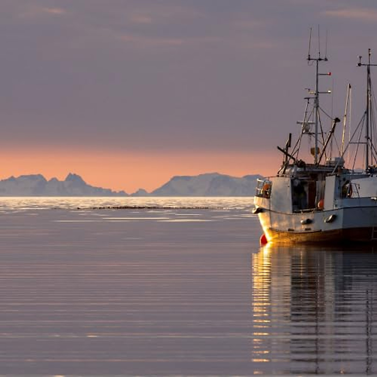 Simply Wild Cod Skins Alaskan Cod Fish Training Treats for Dogs-Dehydrated Fish, All Natural Human Grade Skins - Low Fat Treat Sustainably Sourced in USA (6.6 Oz)