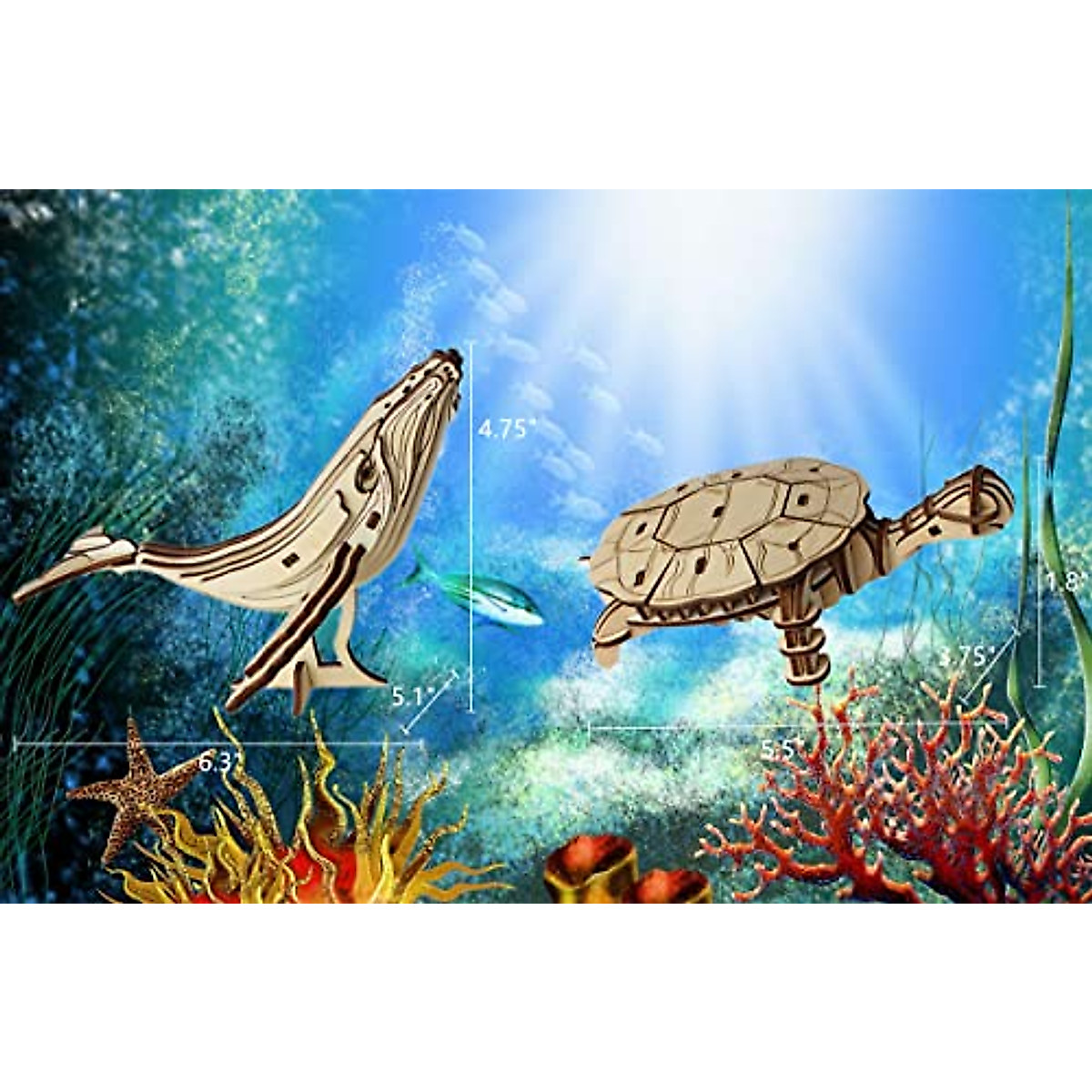 3D Wooden Sea Animal Puzzle - 6 Piece Set Wood Sea Animals Skeleton Assembly Model Kits - Wooden Crafts DIY Brain Teaser Puzzle - STEM Toys Gifts for Kids and Adults Teens Boys Girls