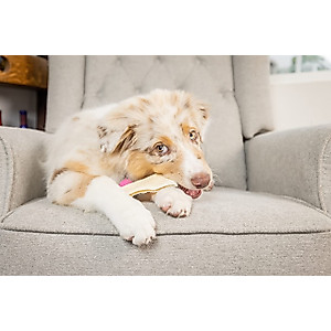 Barking Buddha Beef Cheek Slices Extra Thick All Natural Rawhide Alternative No Hide Premium Dog Chew Strips | Natural Beef | Small 5-6 Inch (10 Pack)