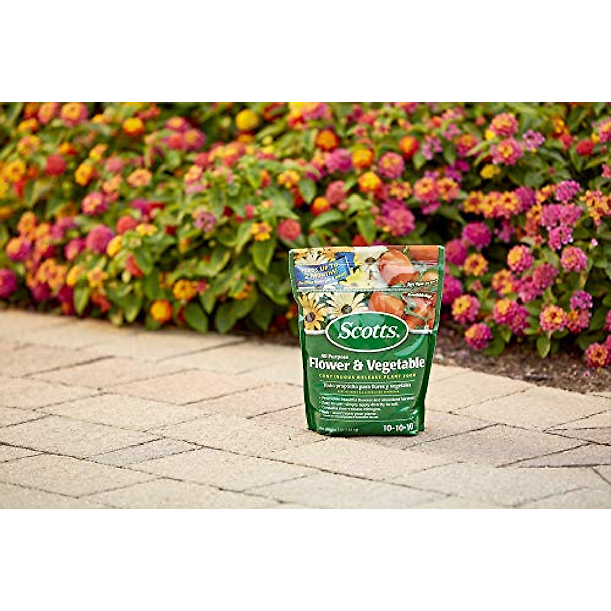 Scotts All Purpose Flower and Vegetable Continuous Release Plant Food, 3-Pound