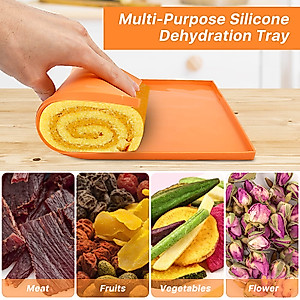 Aemygo 6 Pcs Silicone Dehydrator Sheets with Edge, Reusable Mesh Dehydrator Mats with Scraper, Non-Stick Fruit Leather Trays, Square Food Dryer Mat Dehydrator Sheets For Liquid Meat Vegetables Herbs