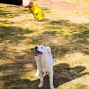 VIMIGOO Latex Grunting Pig Dog Toy, 8'', Environmentally Friendly, Healthy Chew Toy for Small, Medium, Large Dogs