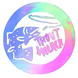 Silver Holographic Vinyl Permanent, 12" x15 FEET Rainbow Holographic Vinyl Roll, Chrome Holographic Sticker Vinyl for Cricut, Silhouette, Signs, Decals by Turner Moore Edition (15FT)