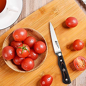 TUO Paring Knife-4 inch Fruit Peeling Paring Knife-German Stainless Steel Small Kitchen Knife-G10 Full Tang Handle-Legacy Series