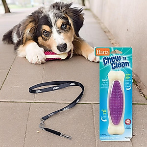 moofin Chew N Bacon-Scented Large Dog Chew Toy, 4 Ounces, Bundle with Bonus Ss Pet Training Whistle - Nylon Bones for Dental Health, Interactive Play, Safe & Non-Toxic, [Pack of 3]