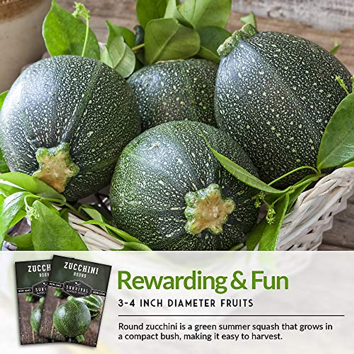 Survival Garden Seeds - Round Zucchini Seed for Planting - Pack with Instructions to Plant and Grow Small Green Zucchinis in Your Home Vegetable Garden - Non-GMO Heirloom Variety