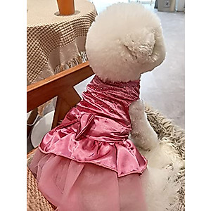 QWINEE Bow Decor Dog Dresses,Sweet Princess Cat Dress Puppy Skirt,Dog Mesh Cake Tutu Dress,Birthday Wedding Party Pet Clothes for Cat Small Medium Dog Doggie Girl Coral Pink M