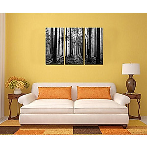 Visual Art Decor 3 Pieces Black and White Sunshine Foggy Forest Trees Canvas Prints Living Room Home Wall Decoration