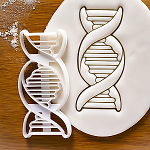 Set of 3 DNA themed cookie cutters (Designs: DNA, Chromosome and Chromosome Y), 3 pieces - Bakerlogy