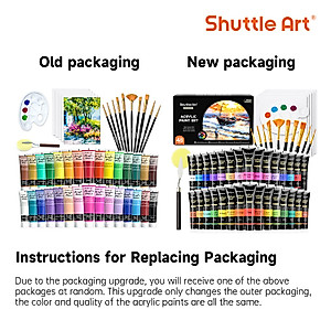 48 Pack Acrylic Paint Set, Shuttle Art 30 Colors Acrylic Paint (36ml) with 10 Brushes 5 Canvas 1 Paint Knife 1 Palette 1 Sponge, Complete Set for Kids, Adults Painting on Canvas Rocks Wood Ceramic