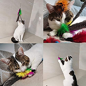 TIENAILING Cat Feather Toys Replacement Cat Toy Wand Refills, 10 PCS Cat Teaser Toy Replacement Feather Refills, Cat Wand Attachments Feather Worm Refills for Indoor Cat