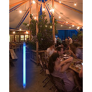 Dichroma 4 Pack T5 8W Replacement Bulb for Faicuk WS108 Wall Sconce Fly Light Trap, 12 Inch F8T5/BL UVA Fluorescent Led Bug Zapper Bulbs