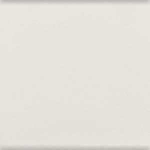 Wise 8WD1414P-710 Deluxe Universal Jump Seat (White)