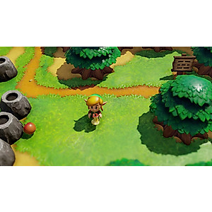 Legend of Zelda Link's Awakening - Nintendo Switch