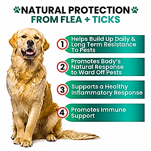 Flea and Tick Prevention for Dogs Chewables - Natural Dog Flea & Tick Control Supplement - Flea and Tick Chews for Dogs - Oral Flea Pills for Dogs - All Breeds and Ages - Soft Tablets - Made in USA