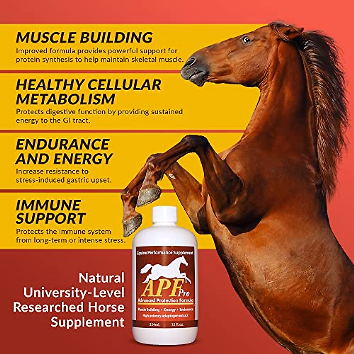APF PRO Equine | Natural University-Level researched Horse Supplement | Gastric Health, Resistance to Stress, Immune Support, Muscle Health, Endurance