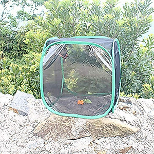 Parakeet Cage, Birdcages Non- Sturdy Durable Foldable Large for