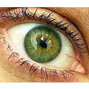 50mm F 1.8 Manual/Automatic HD Portrait Macro Lens Lens for Canon EOS D90 T7 T5