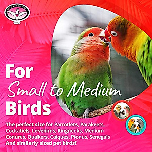 Super Bird Creations SB1086 Having a Ball Bird Toy, Small/Medium Bird Size, 6" x 2" x 2"