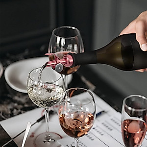 MEETSWEET 1PCS Stainless Steel Classic Wine Glide Pourer, Wine Pour, Hygienic Speed Pour Spouts, Wine Pourers for Wine Bottles(silver)