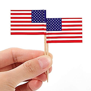 CYPS 100 Pcs USA American Flag US Toothpick Flags, Small Mini Stick Cupcake Toppers US Flags,4th of July,Veterans Day,Country Picks Party Decoration Celebration Cocktail Food Bar Cake Flags