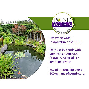 PondWorx Pond Bacteria and Water Clear- Formulated for Large Ponds, Water Features and Safe for Koi, Improves Water Quality- Gallon