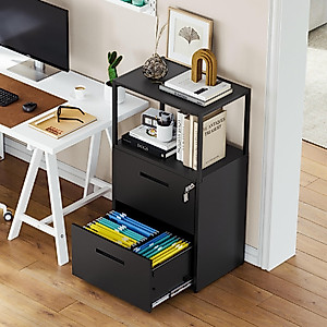 Letaya 2 Drawer Lateral File Cabinets with Lock,Metal Printer Stand Filing Organization Cabinets for Home Office,Hanging Files Letter/Legal/F4/A4 Size (Black)