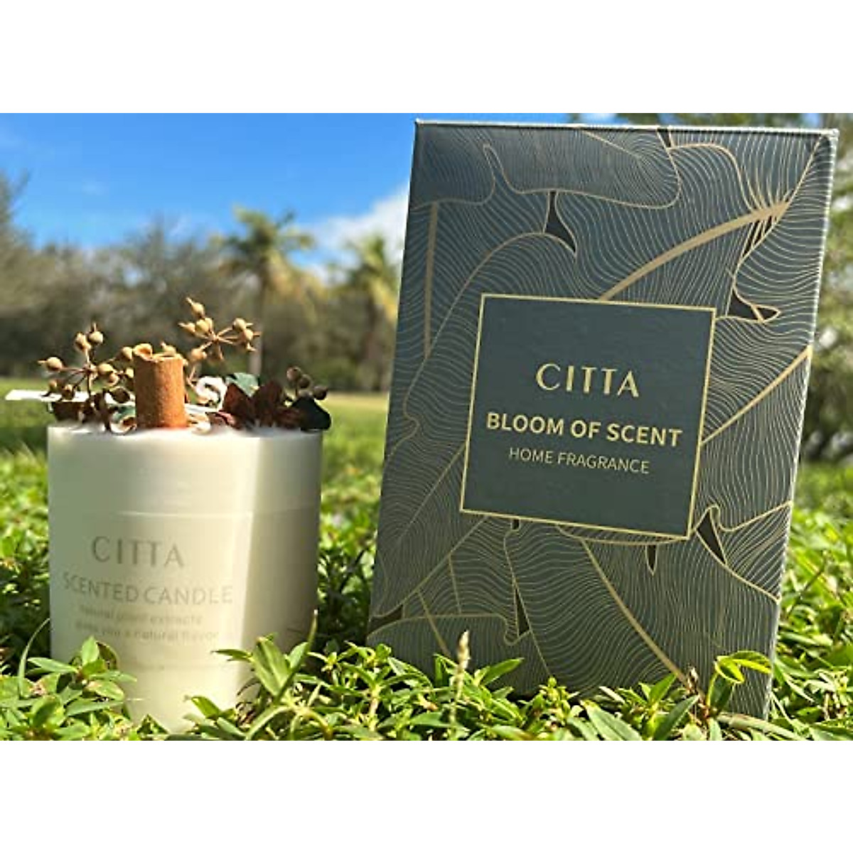 Christmas Pine Cone Flowers Scented Candles Soy Wax Aromatherapy Candle Romantic Pillar Candle Christmas Decorations For Home (Citrus Grape)