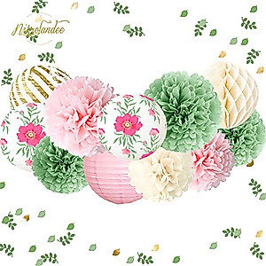 NICROLANDEE 12PCS Green Pink Blooms Tissue Pom Poms Paper Lantern 3D Gold Confetti 50G for Garden Birthday, Fairy Party, Butterfly Baby Shower, Wedding, Holiday, Easte Party, Spring Decor