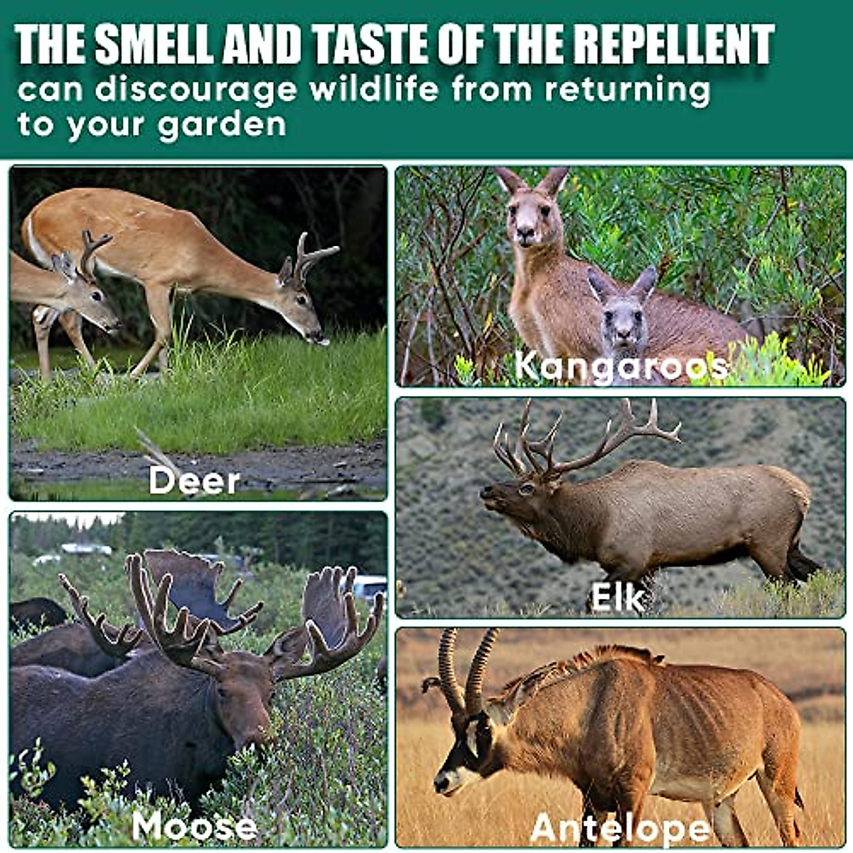 SEEKBIT 4 Pack Deer Repellent | Rabbit Repellent | Deer Rodent Chipmunk Deterrent for Tree, Plant | Deer Repellent Deer Off Away from Garden, Yard, Lawn, Garage | Waterproof Long Lasting Outdoor