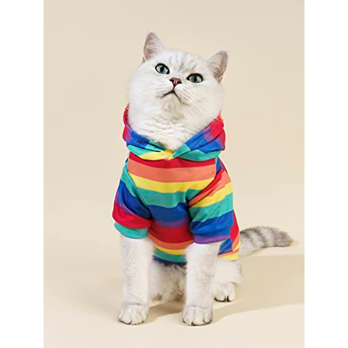 QWINEE Rainbow Colorful Dog Hoodie Sweatshirt Dog Shirt Cat Clothes for Puppy Kitten Small Dogs Multicolor X-Small