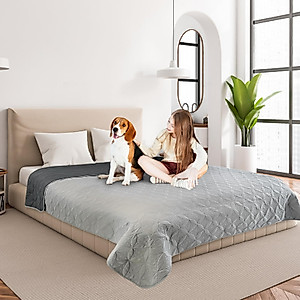 2 Packs Waterproof Dog Blankets Washable for Large Dog, Pet Couch Covers Protect Bed Sofa Furniture, Soft Reversible Dog Blankets Anti Scratches Dirty for Puppy Kids (82"×82", Light/Dark Grey)