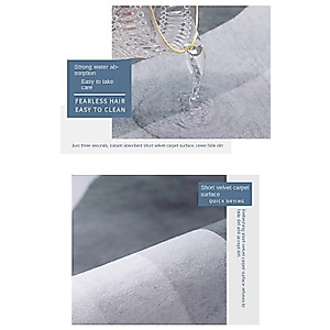 Qmkmyy Simple Fashion Leopard Area Rug 6'x9' for Living Room Tiger Pattern Pink Bedside Rugs Low Pile Lightweight Entryway Mats