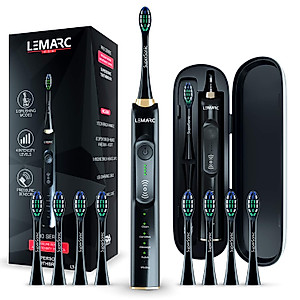 Replacement Toothbrush Brush Heads for Wagner & Stern and Wagner Switzerland toothbrushes. (Pink)