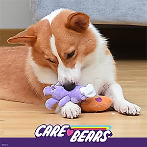 Care Bear for Pets 2PC Set Share Bear Squeaker Flattie Plush Dog Toy With Crinkle Texture Cookie, 4" Small Collectible Toy (FF20238)