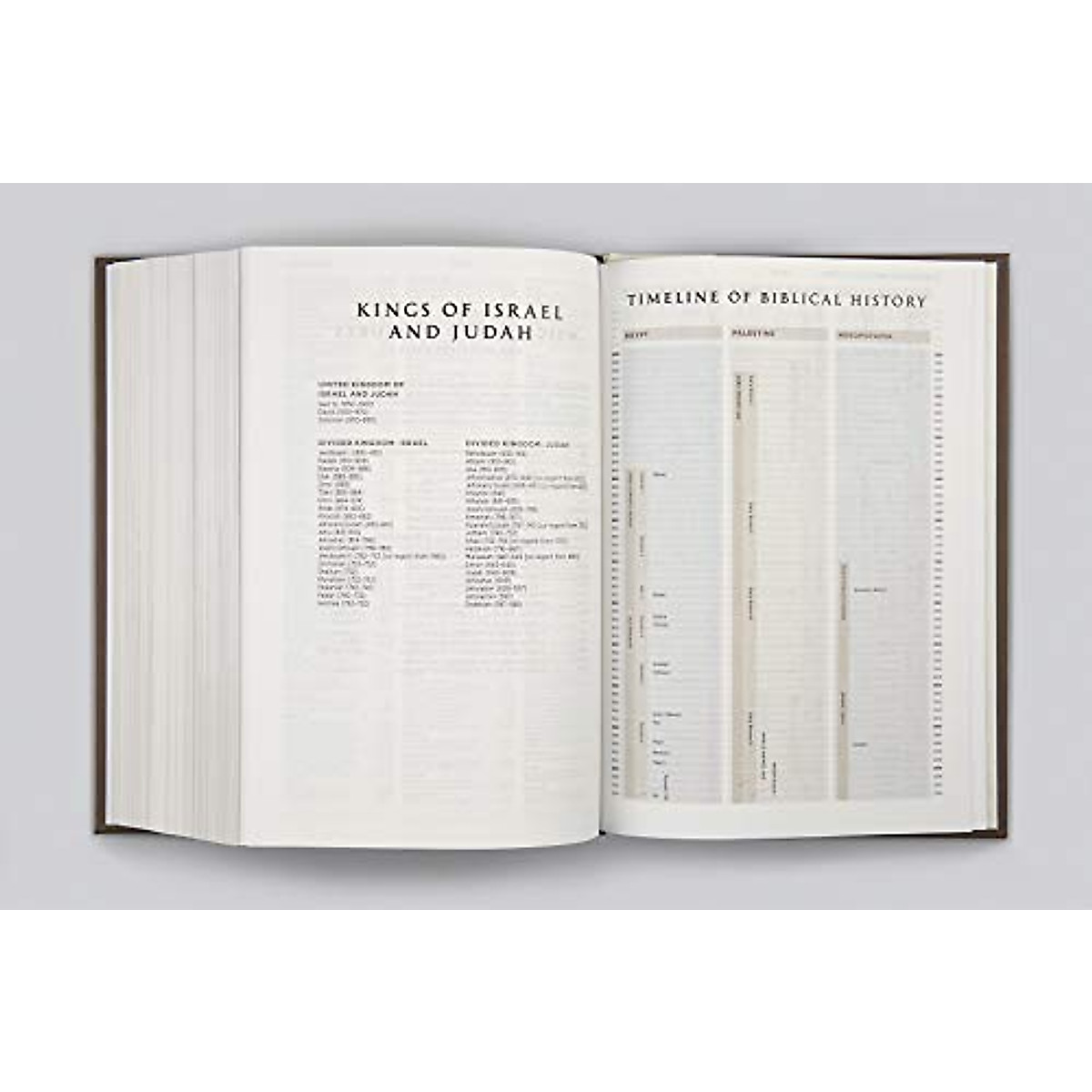 ESV Archaeology Study Bible