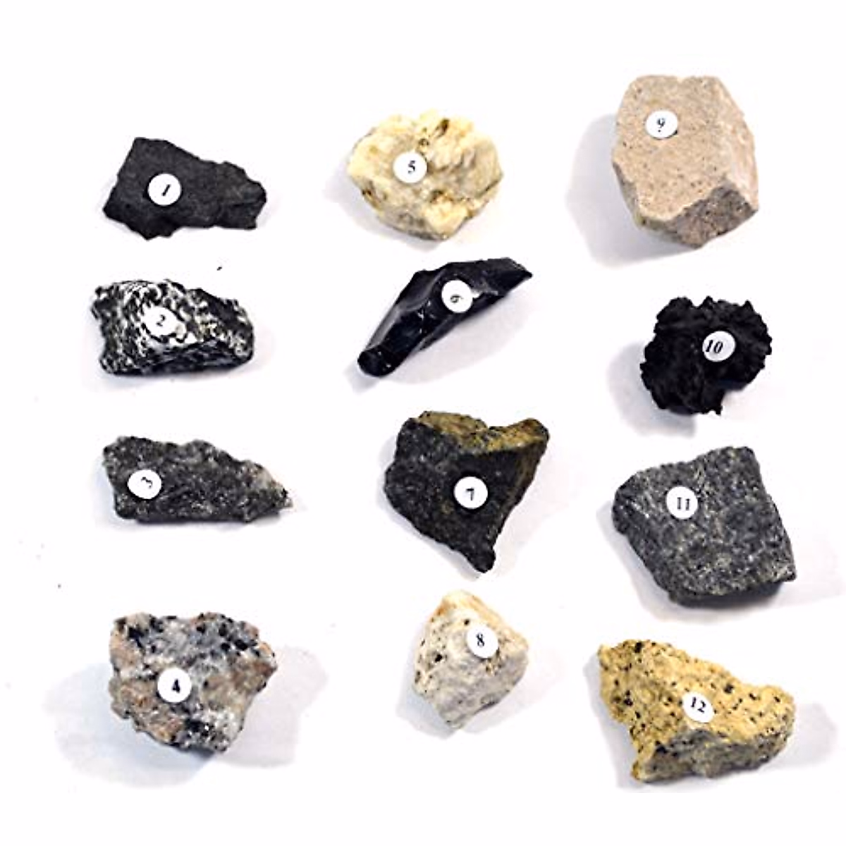 Eisco Igneous Rocks Kit - Contains 12 specimens Measuring Approx. 1" (3cm)