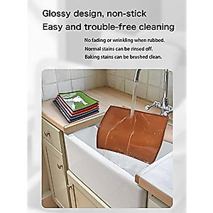 5pcs silicone dehydration mats with edge(5 colorful colors)-12.3” x 10.2 ” Silicone Sheets, nonstick silicone tray liner, Withstands -40°C to 240°C, reusable, suitable for fruit meat vegetable herbs