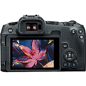 Canon EOS R8 Mirrorless Camera (Body Only) Enhanced with Professional Accessory Bundle - Includes 14 Items