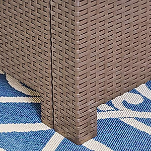 Great Deal Furniture Fiona Outdoor Brown Faux Wicker Club Chairs with Mixed Beige Water Resistant Cushions (Set of 2)