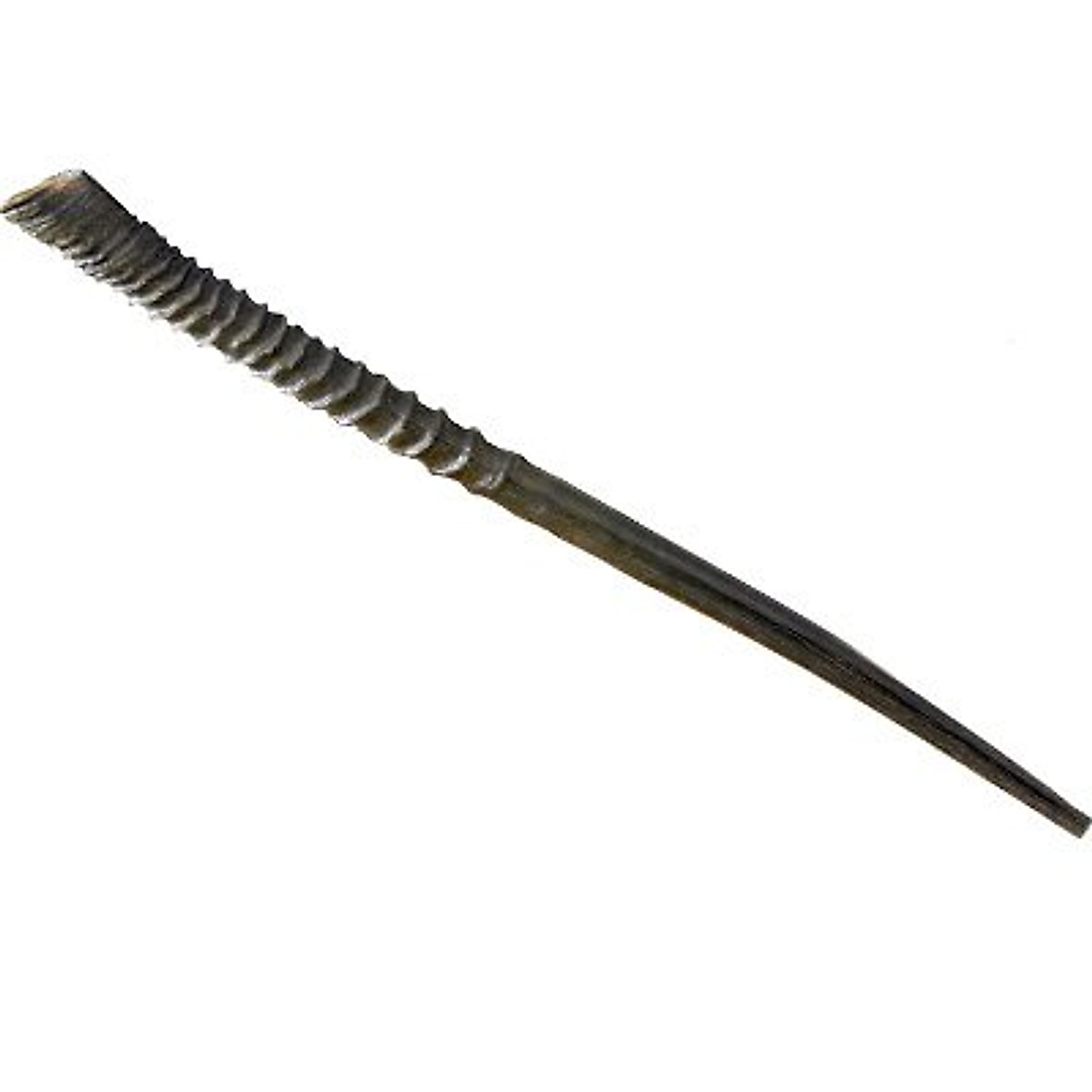 Chofar Jerusalem Shofar Kosher Gemsbok Gemsbock Moroccan Trumpets Temple Horn Polished Natural Chofar Showfar Jewish Blow Holy Land