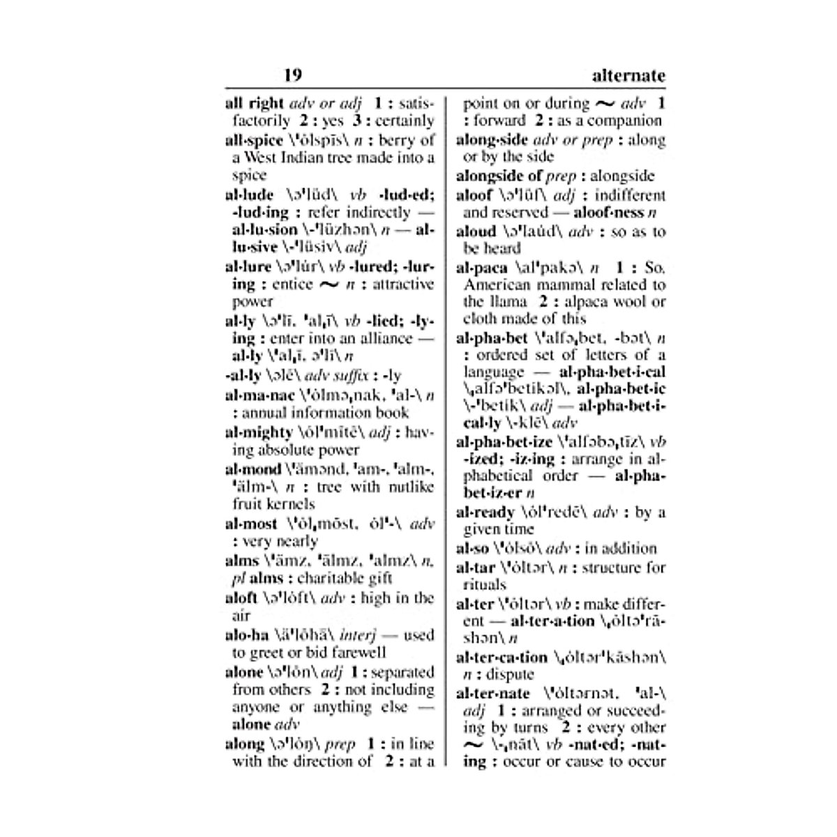 Webster's New Explorer Large Print Dictionary, Third Edition, Newest Edition