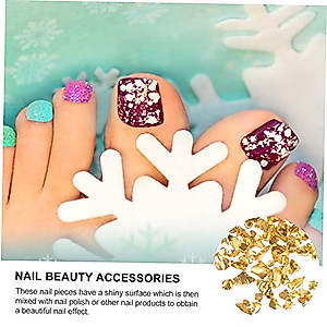 COHEALI 1 Set Nail Glass Gravel Stuffing for Crafts Stuffing Glass Decor Crushed Glass for Resin Art 3D Flakes Manicure Decals Holographic Chunky Glitter Crushed Glass Chips Epoxy