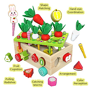 Rexinc Montessori Toys for 1,2,3,4 Year Old Toddlers Boys and Girls,Gifts for 2 Year Old Girls Wooden Educational Sorting Toys,Preschool Learning Gift Carrots Harvest Game Fine Motor Skill