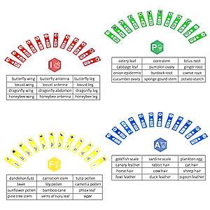 48PCS Kids Plastic Prepared Slides for Microscope of Animals Insects Plants Flowers Sample Specimens for Basic Biological Science Education #81053
