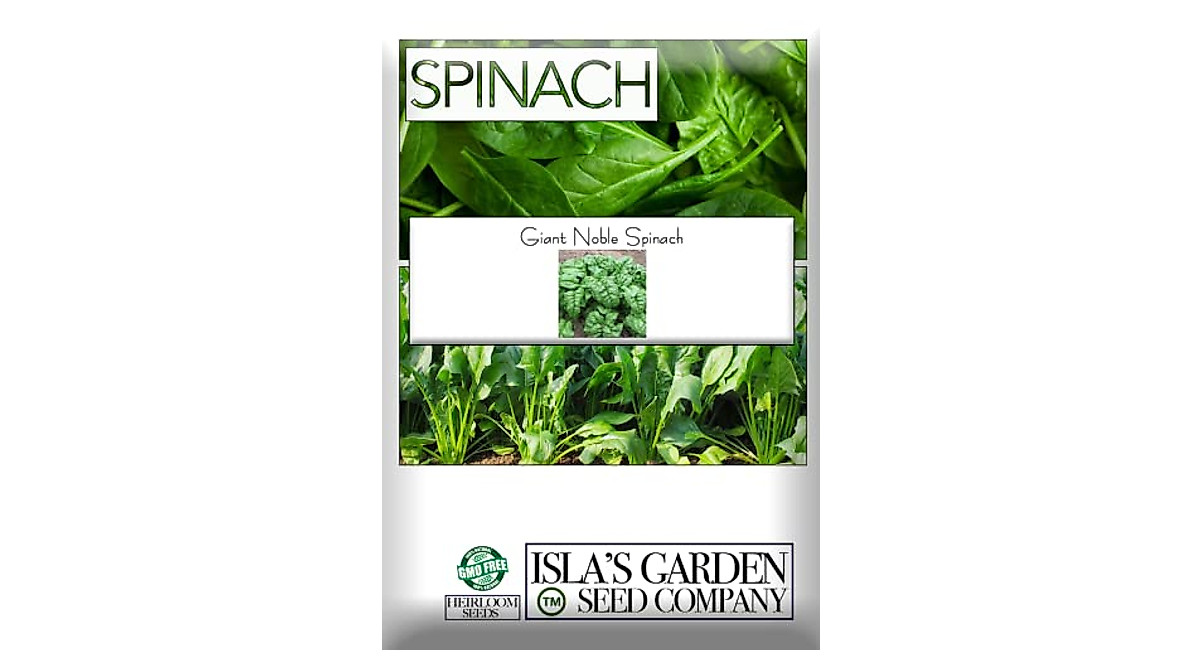Giant Noble Spinach Seeds - Heirloom, Non-GMO for Home Gardens