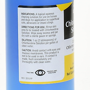Chlorhexidine for Dogs 2% Solution Spray Set - Pint (473 mL) with Bottle (16 oz) + Trigger Sprayer & 100 (6") Cotton Applicator Tips - Helps Itching, Hot Spots, Irritation, Allergies & Sensitive Skin