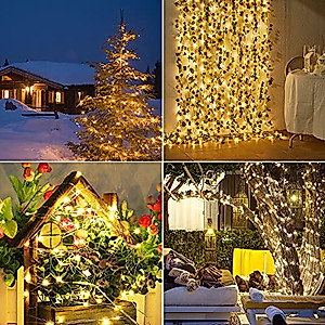 ZELUXDOT 300 LEDs String Lights Fairy String Lights 100FT Outdoor Waterproof Copper String Lights with Remote 8 Modes for Bedroom, Patio, Gardens, Wedding Decoration, Party,Christmas Tree