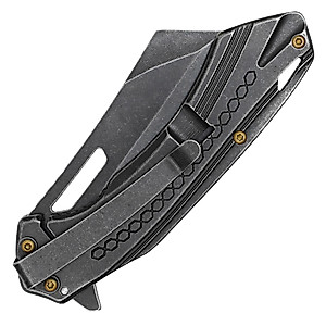 Buckshot Knives 8" Overall Stainless Steel Handle Cleaver Blade Spring Assisted Folding Pocket Knife (Black)