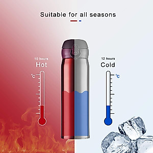 Stainless Steel Water Bottle-Double Wall Vacuum Insulated Thermos Beverage Bottle, Travel Mug 17 Ounce